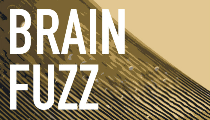 About That Brain Fuzz Podcast | Tokens From The Well Arts Blog